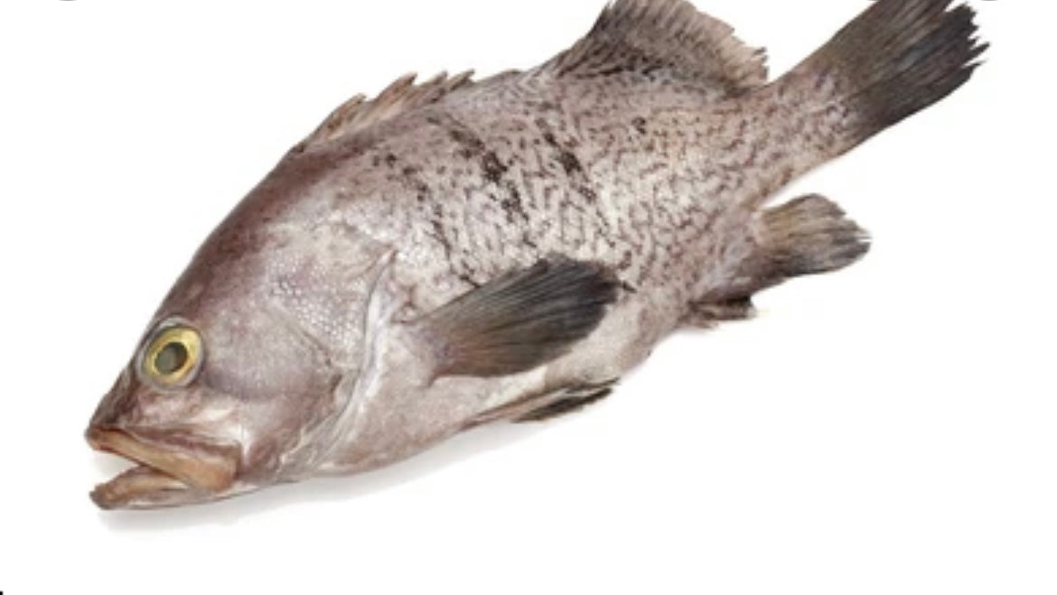 Merou, c.a 1 kg – vishandelmediterranevof